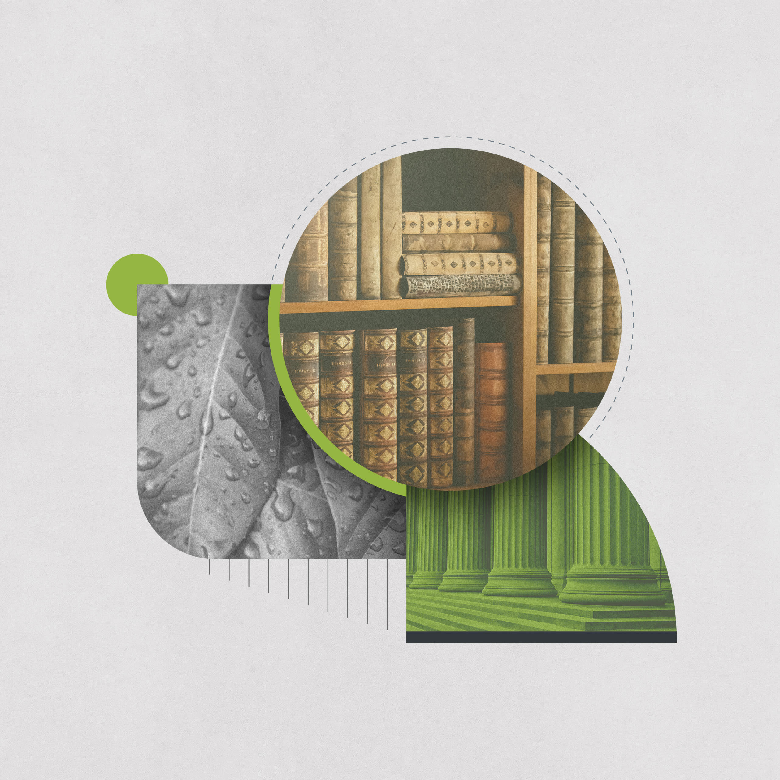 Top Five Books on the Five Solas: Solus Christus by Keith Mathison