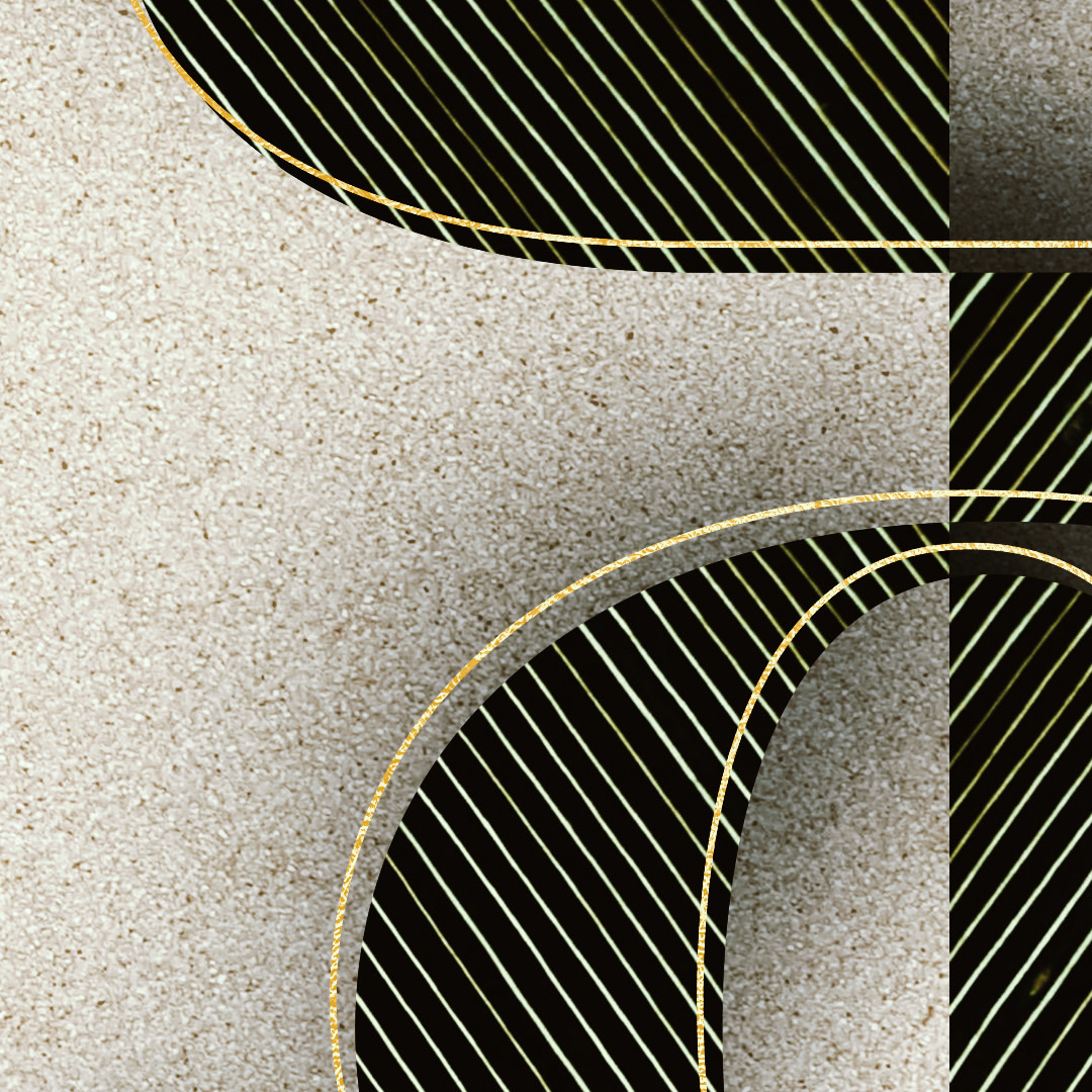 Who Was Jane Grey? by Simonetta Carr