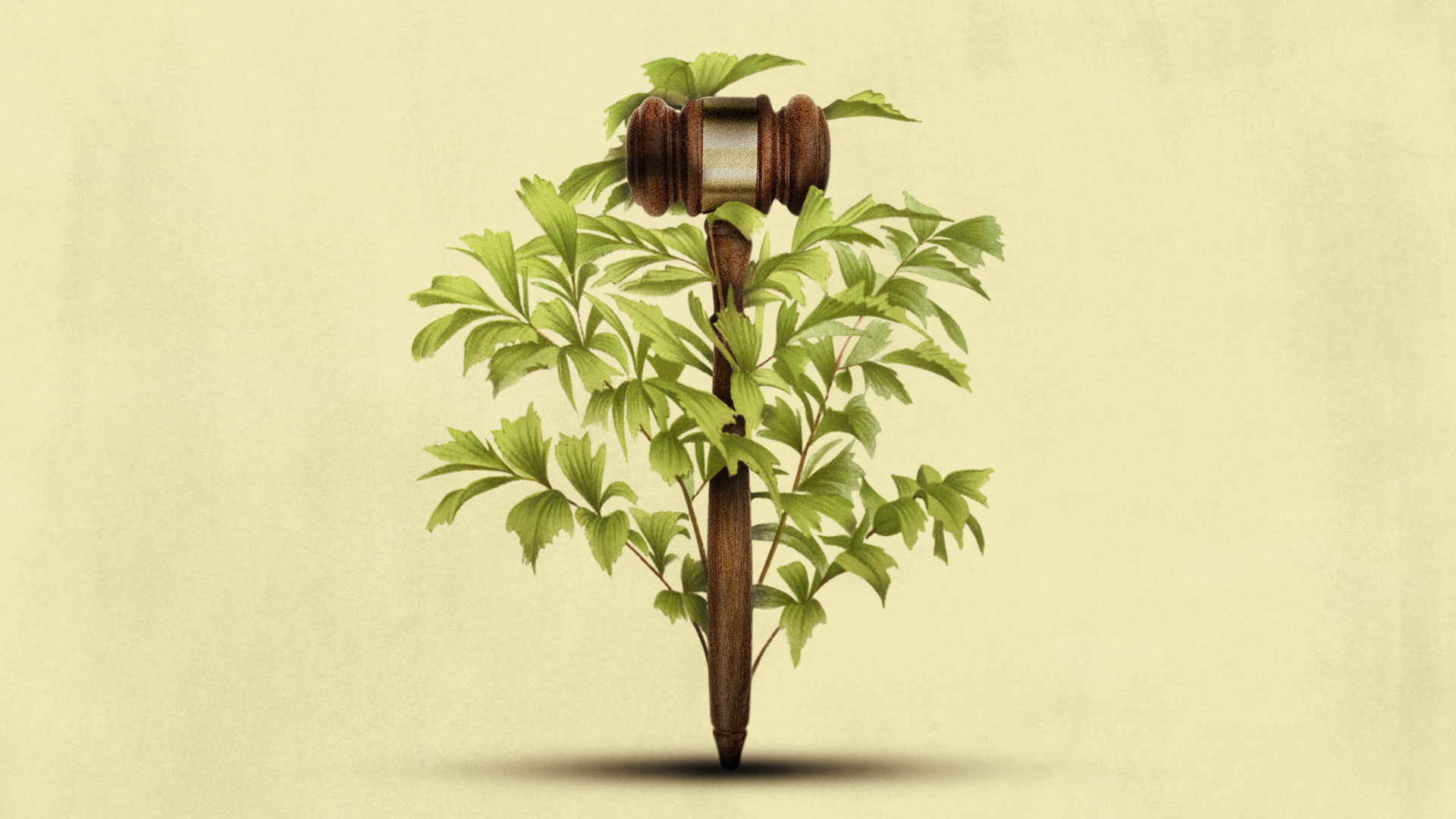 5 Things You Should Know about Justification