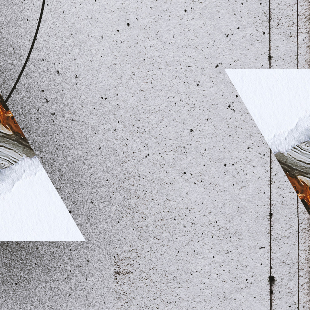 The Thorns by Robert Rothwell