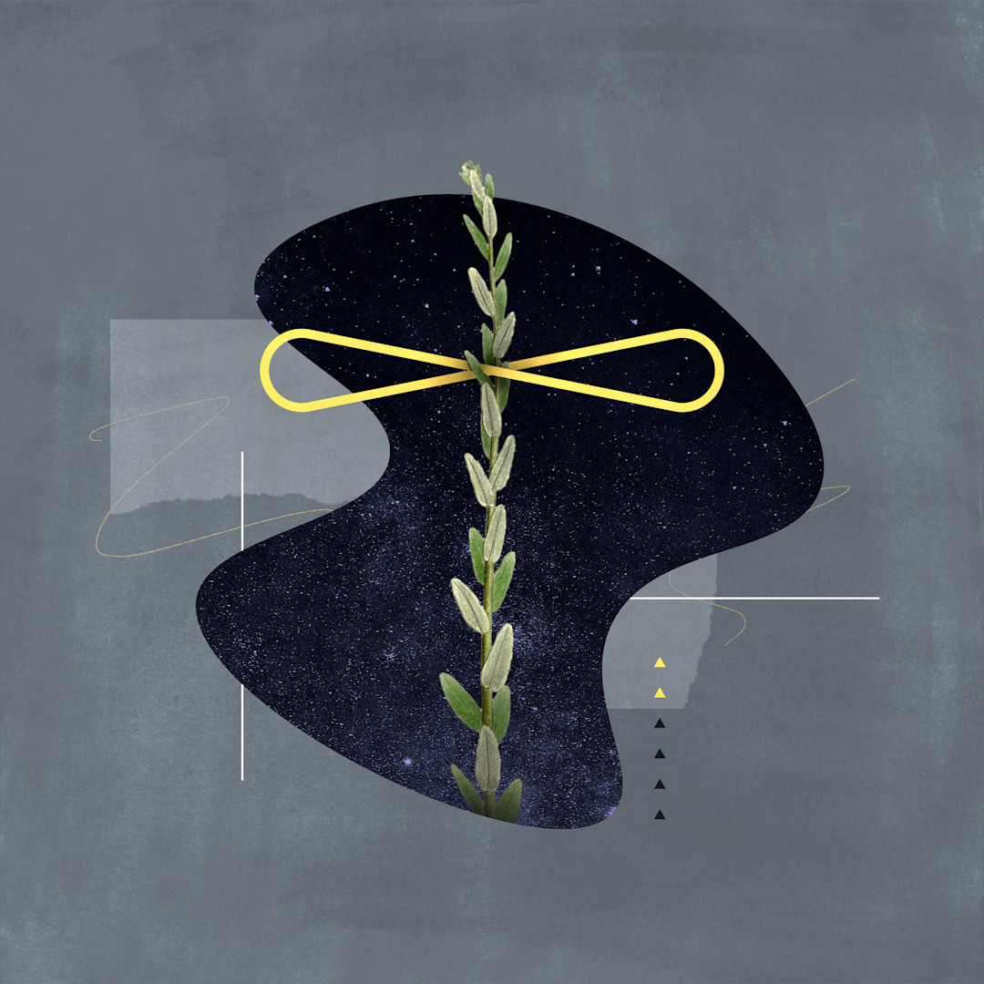 What Is the Perseverance of the Saints?