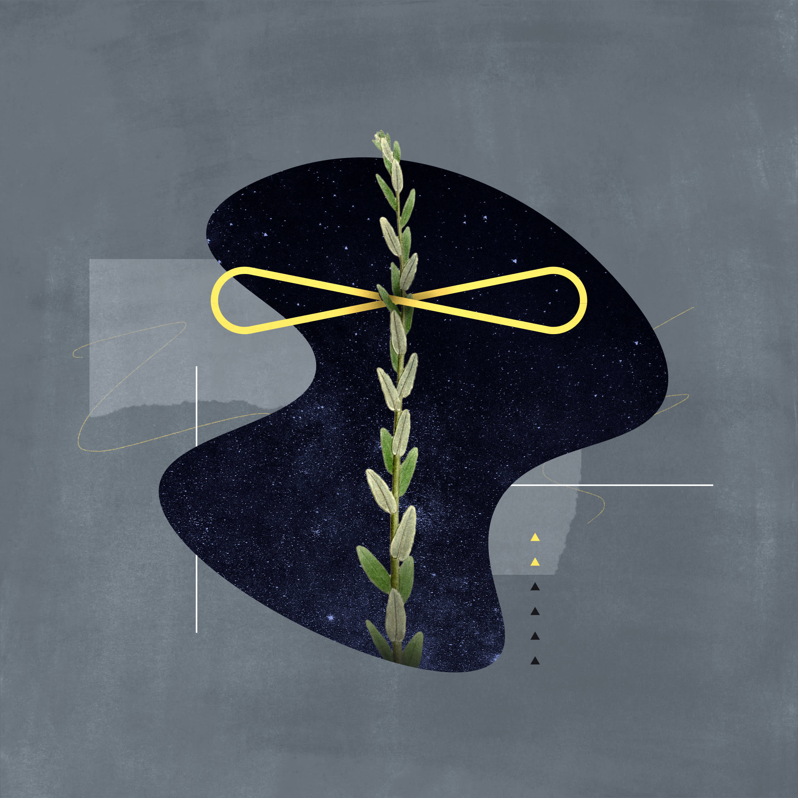 What Is the Perseverance of the Saints?