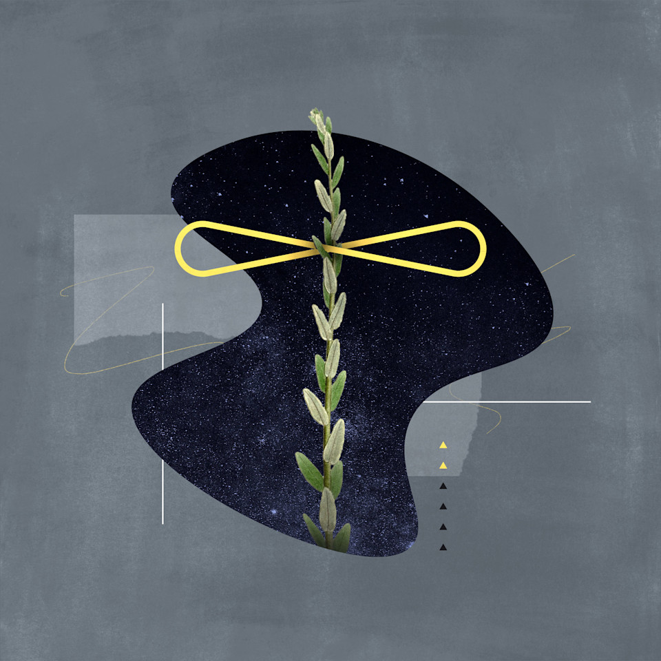 What Is the Perseverance of the Saints?