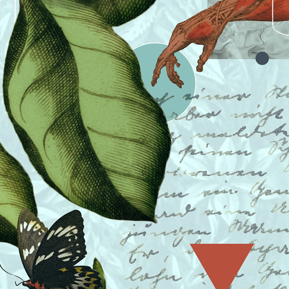 Where Did I Go Wrong? by Robert Rothwell