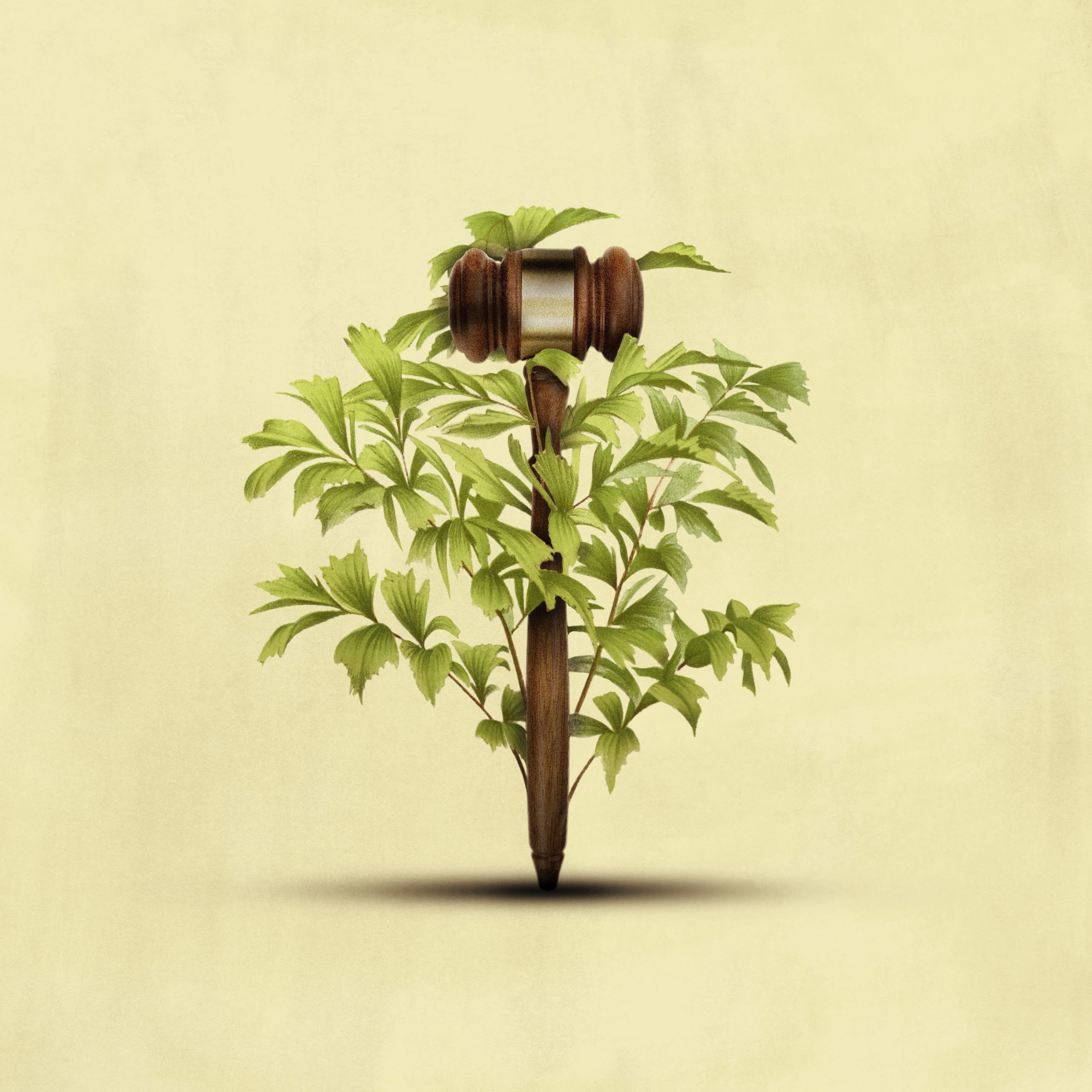 5 Things You Should Know About Justification