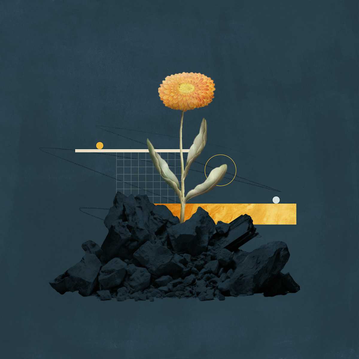 Justification by Grace through Faith | Reformed Bible Studies ...