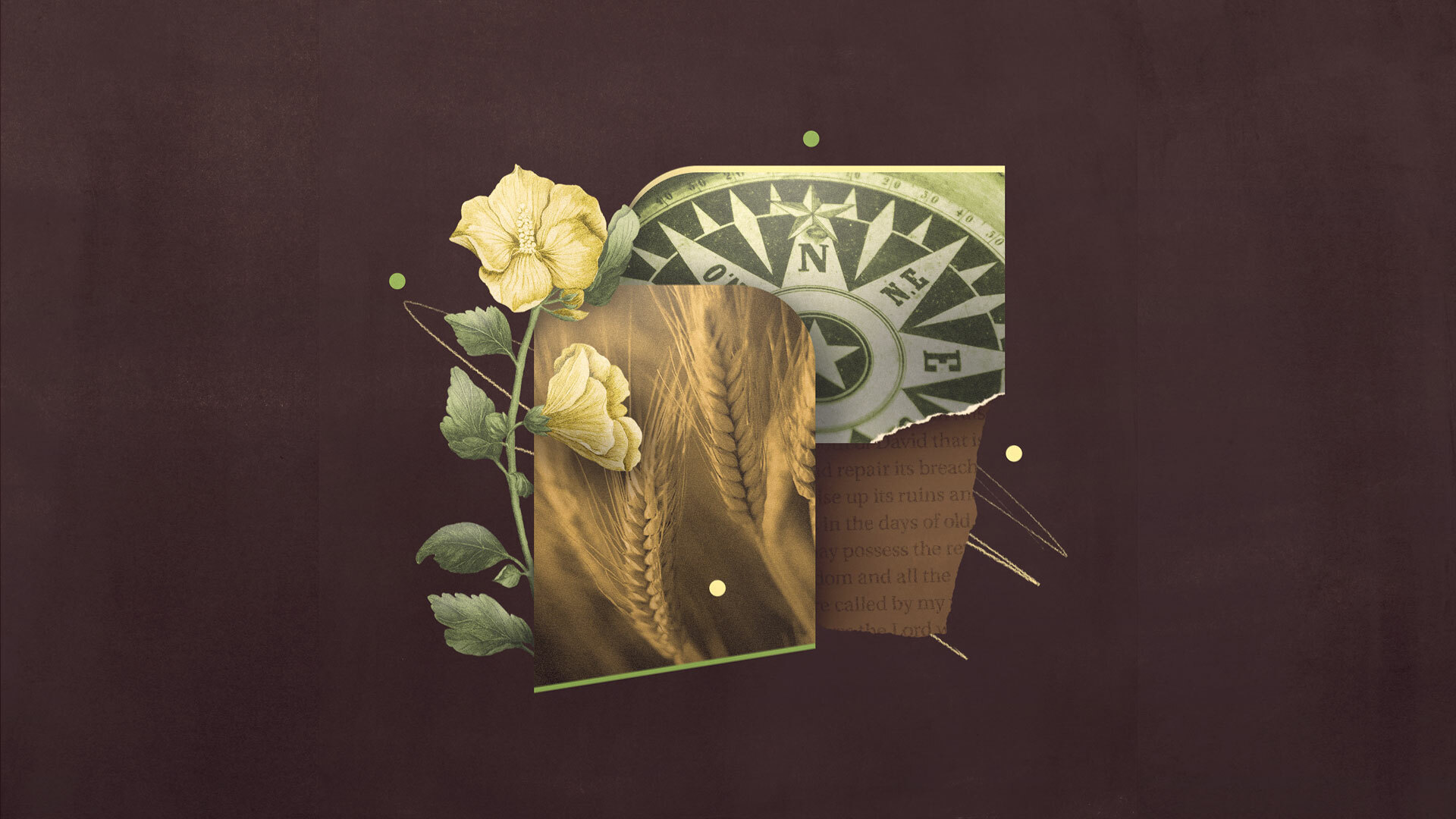 3 Things You Should Know about Amos