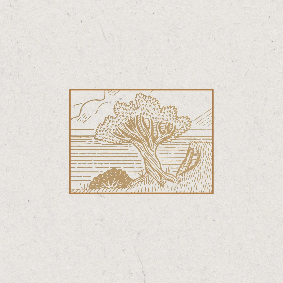 If God Is Sovereign, Why Bother to Share Your Faith?