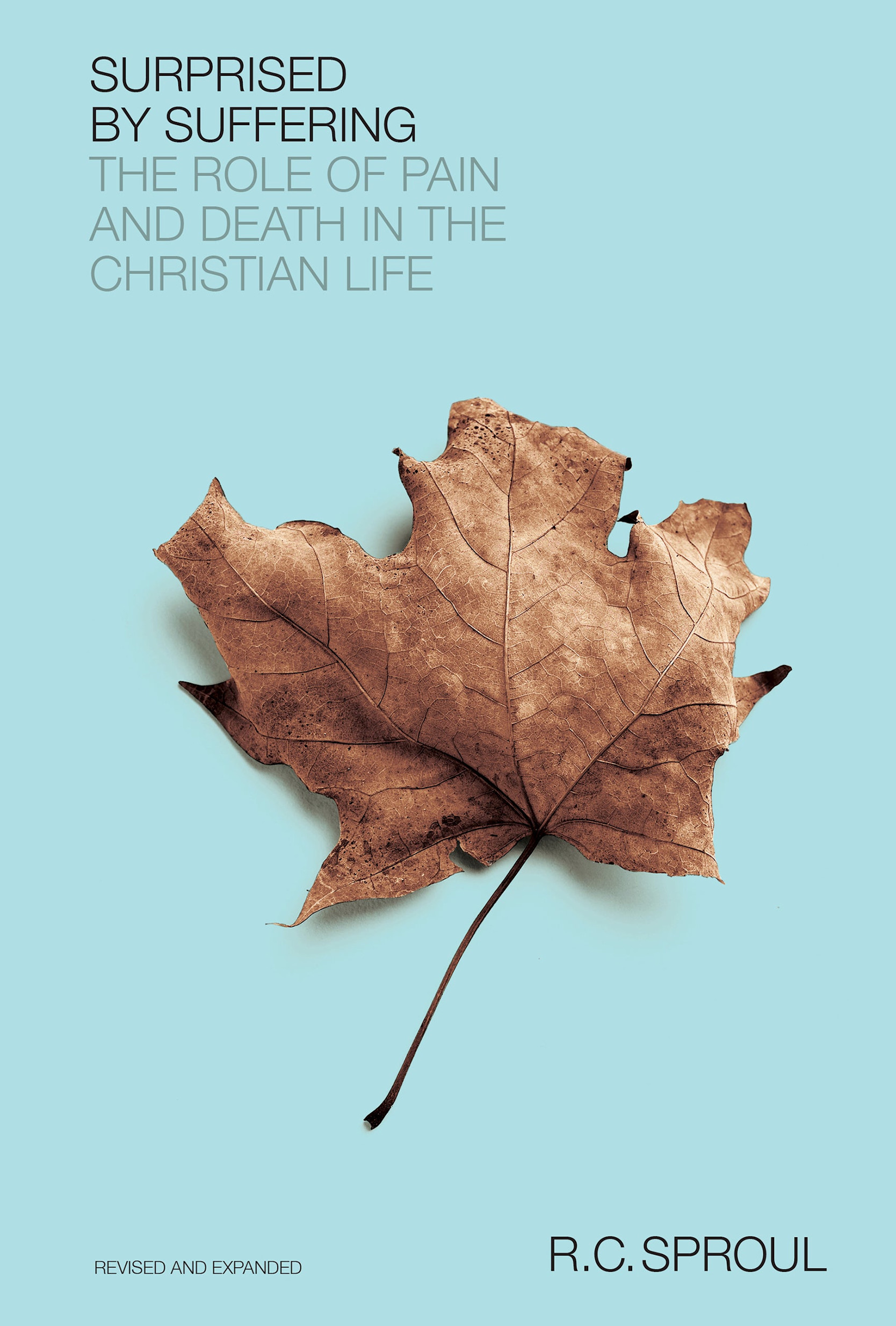 Satan Does Not Hold the Keys of Death