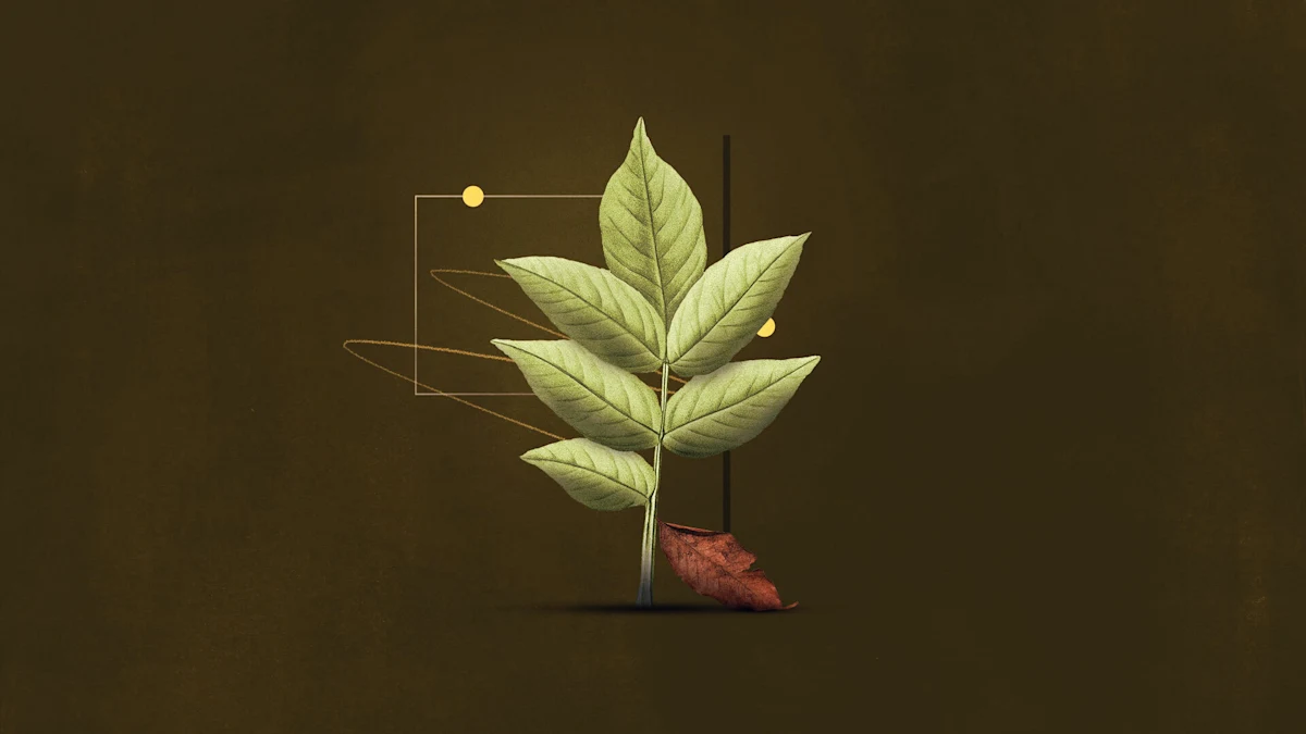 How Was Circumcision a Sign of the Covenant?