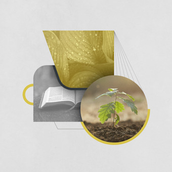 What Is Christian Discipleship?