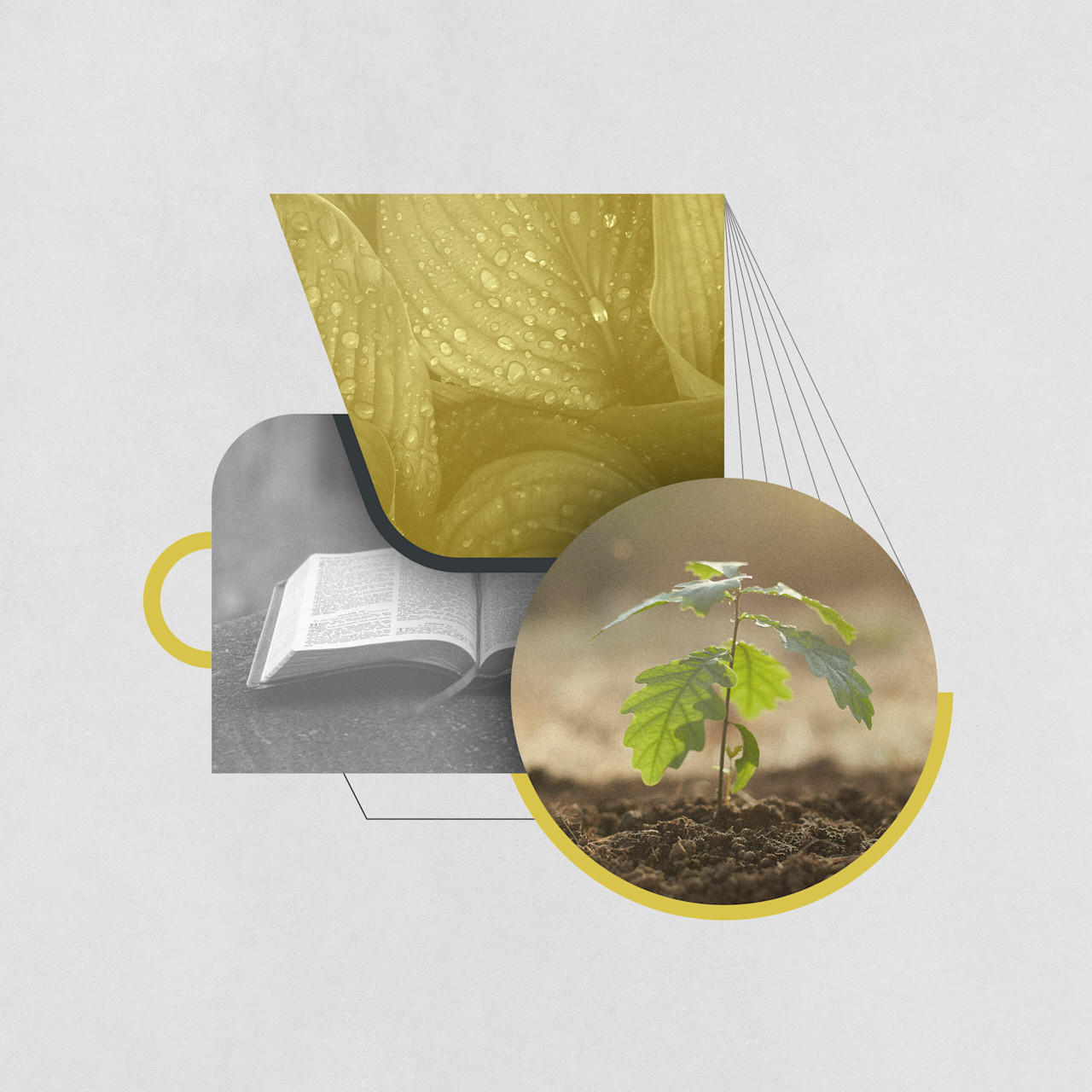 What Is Christian Discipleship?