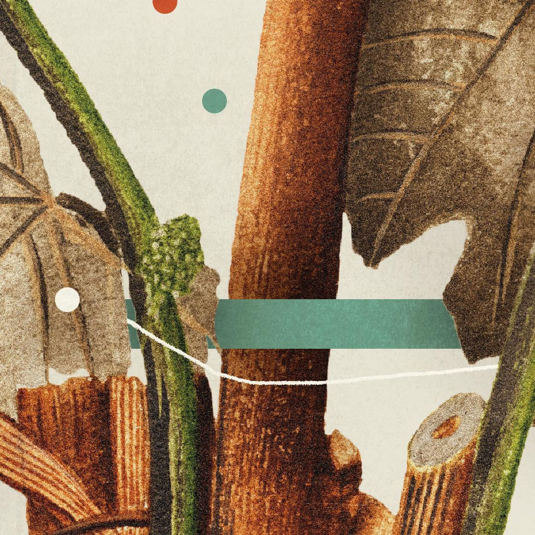 Using Your Gifts by Ken Jones