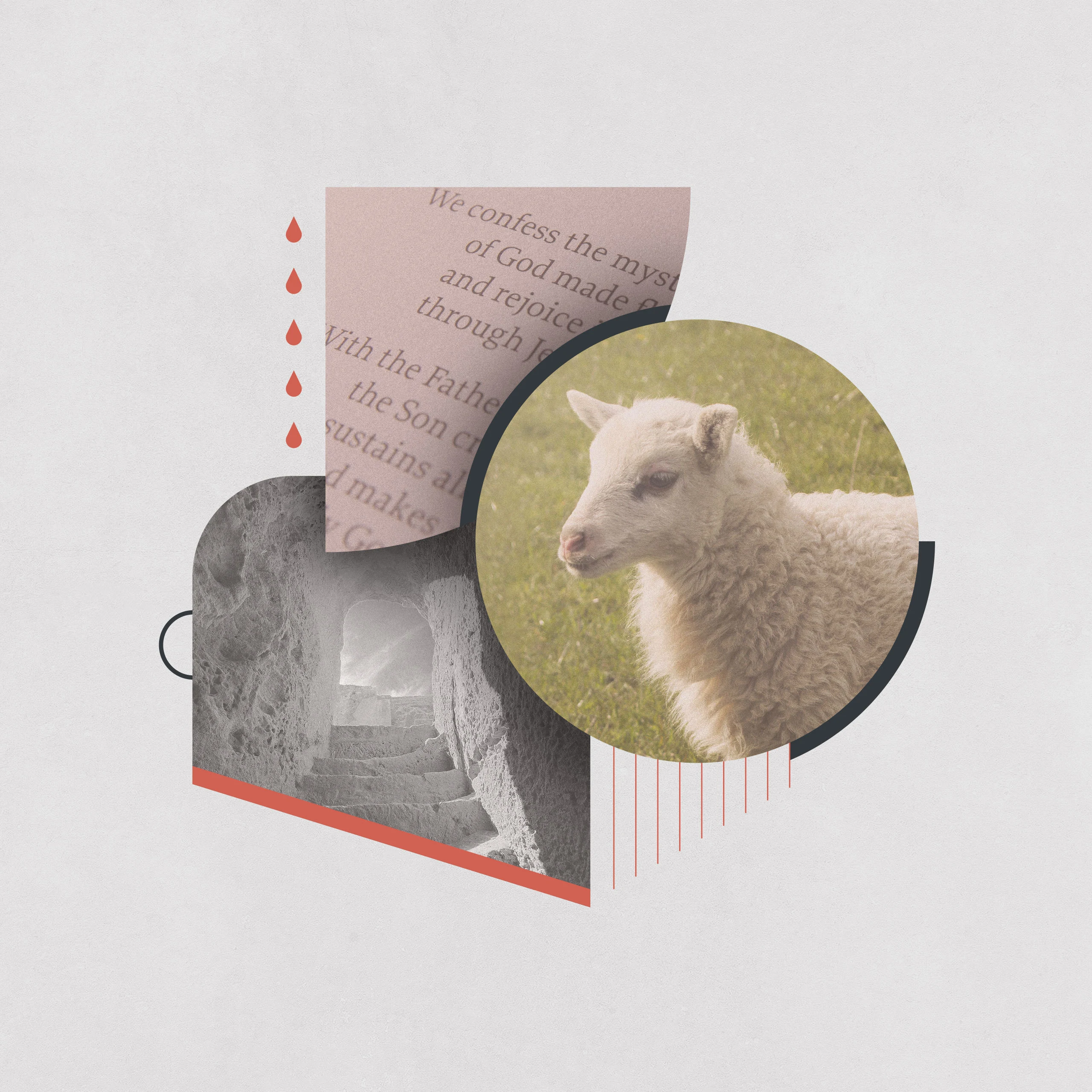 The Humanity of Jesus