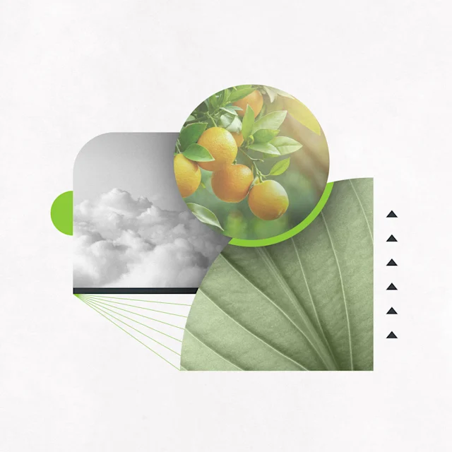 What Is the Fruit of Kindness?