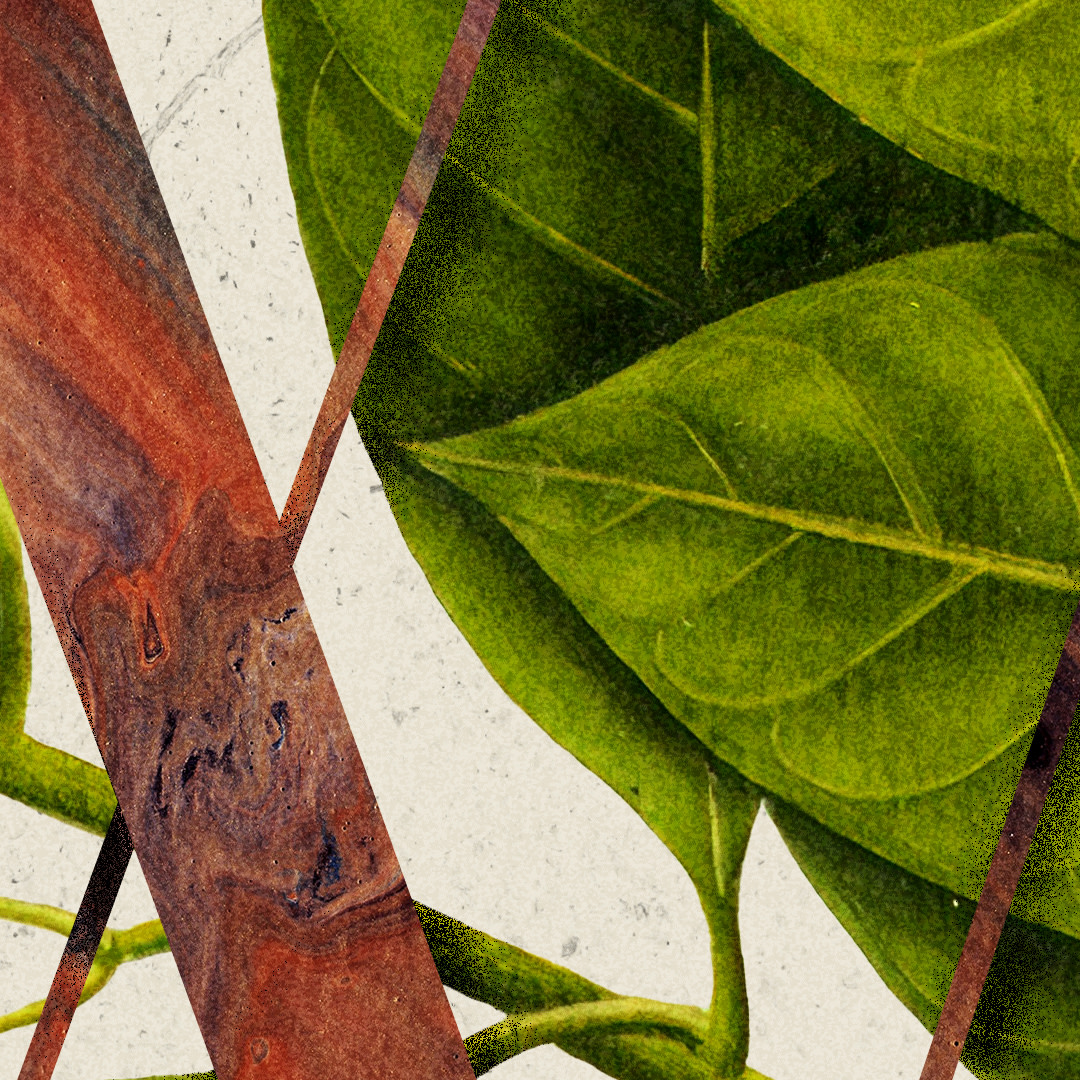 Caring for Widows by R.C. Sproul