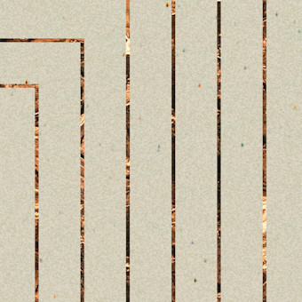 Tracing the Genealogy of Jesus