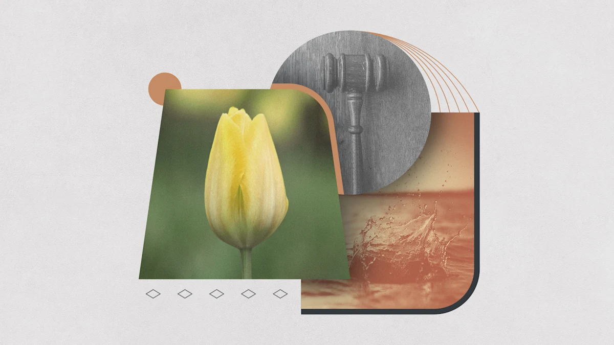 TULIP and Reformed Theology