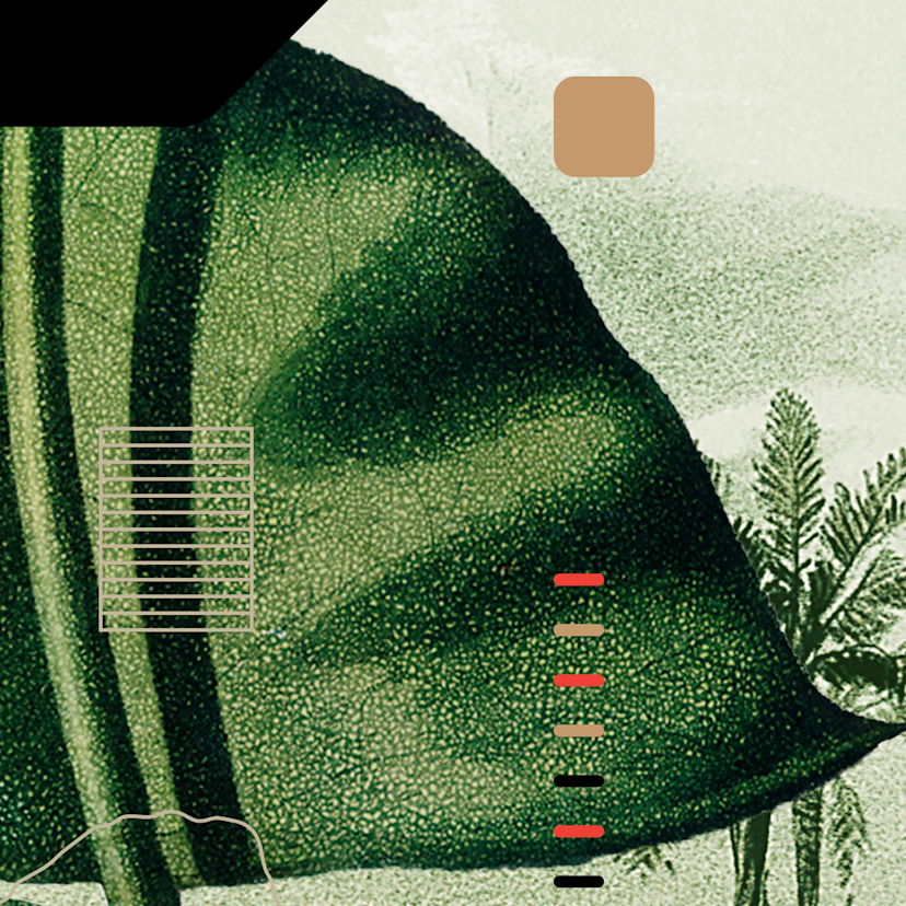 What Does “Coram Deo” Mean?