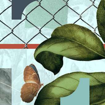 What Is Christian Discipleship?