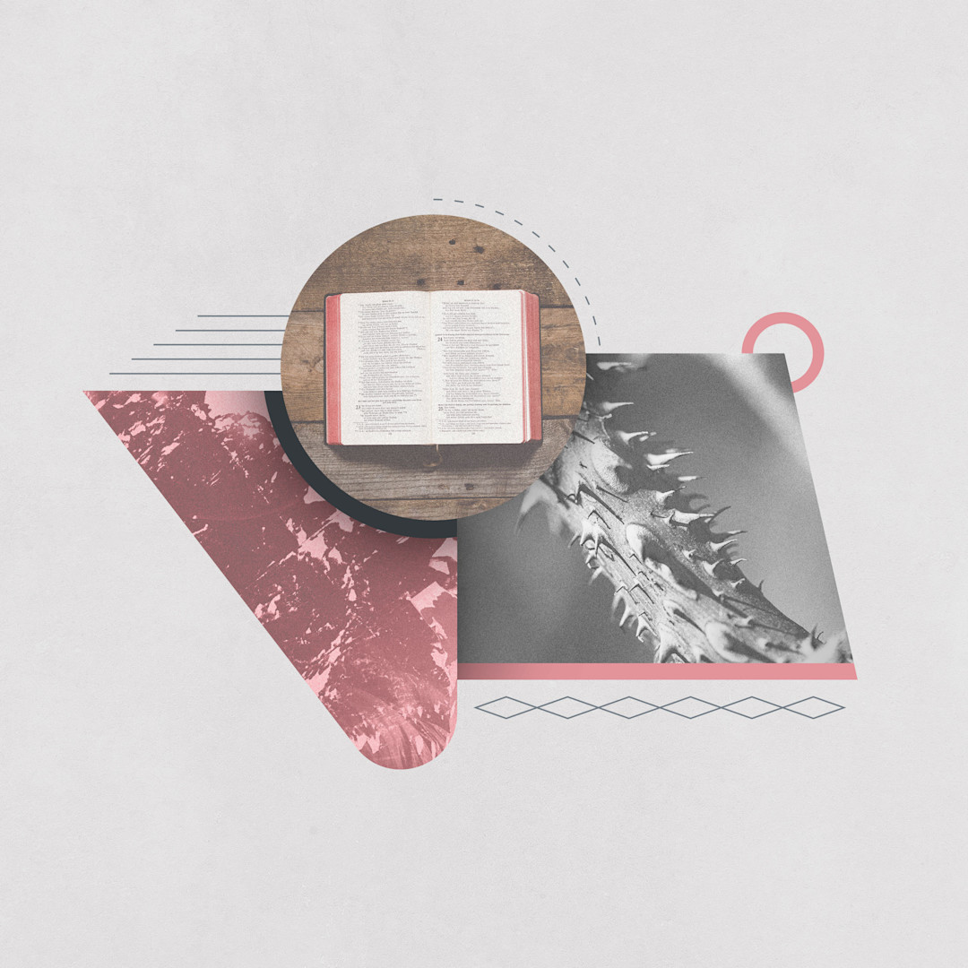 Glory Versus the Cross by Gene Edward Veith