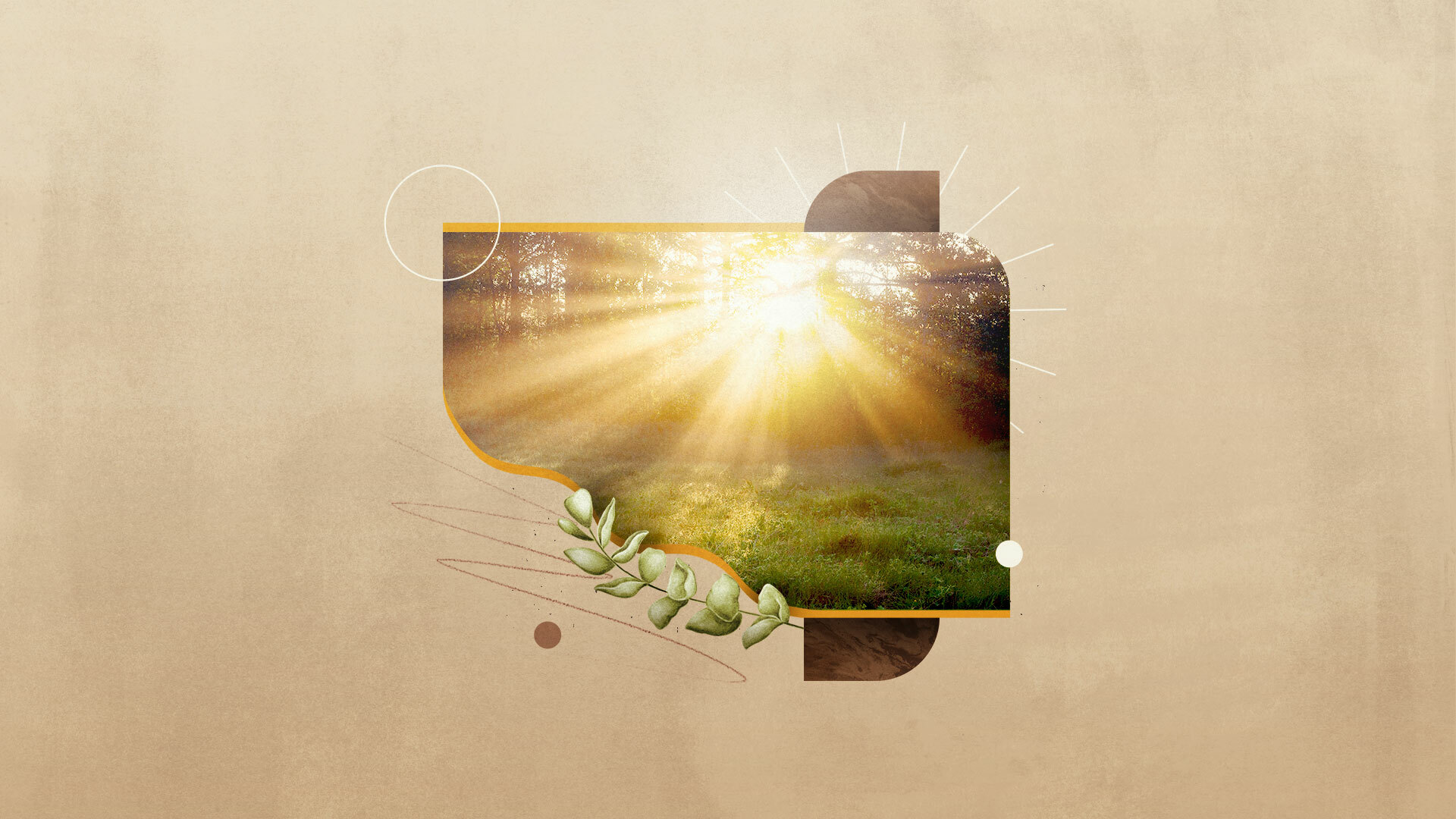 How Is Jesus the Light of the World?