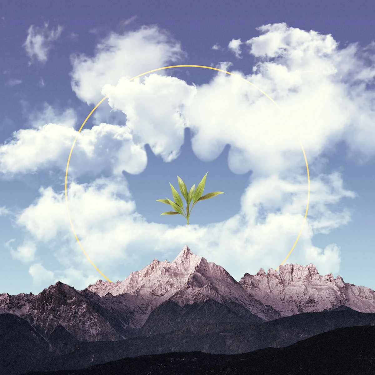 5 Things You Should Know About Heaven