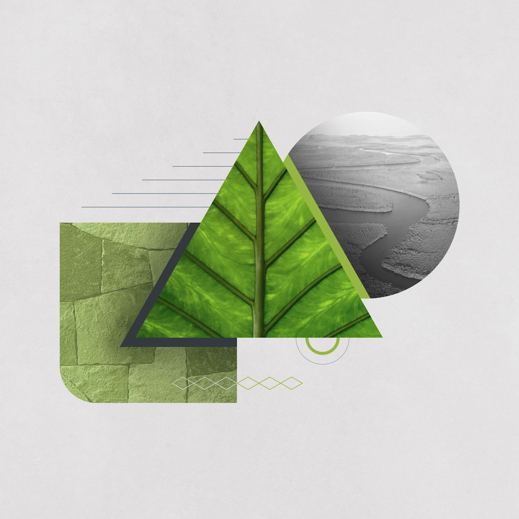 The Heidelberg Catechism