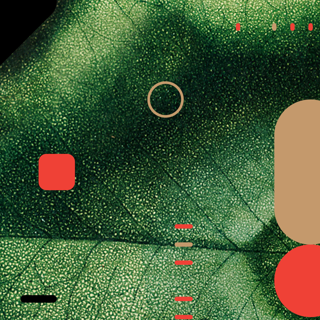 Instruct One Another by Brian Cosby