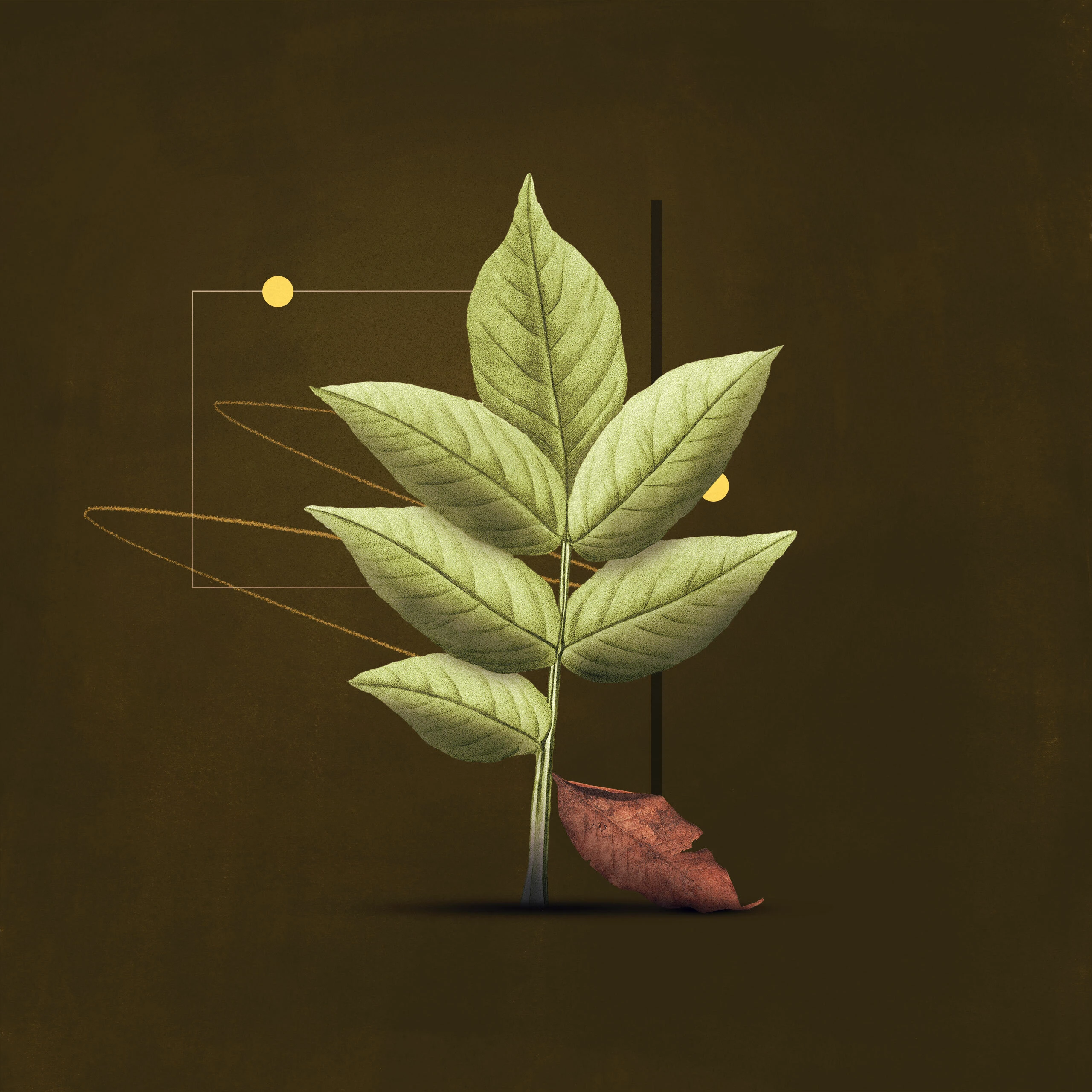 How Was Circumcision a Sign of the Covenant?