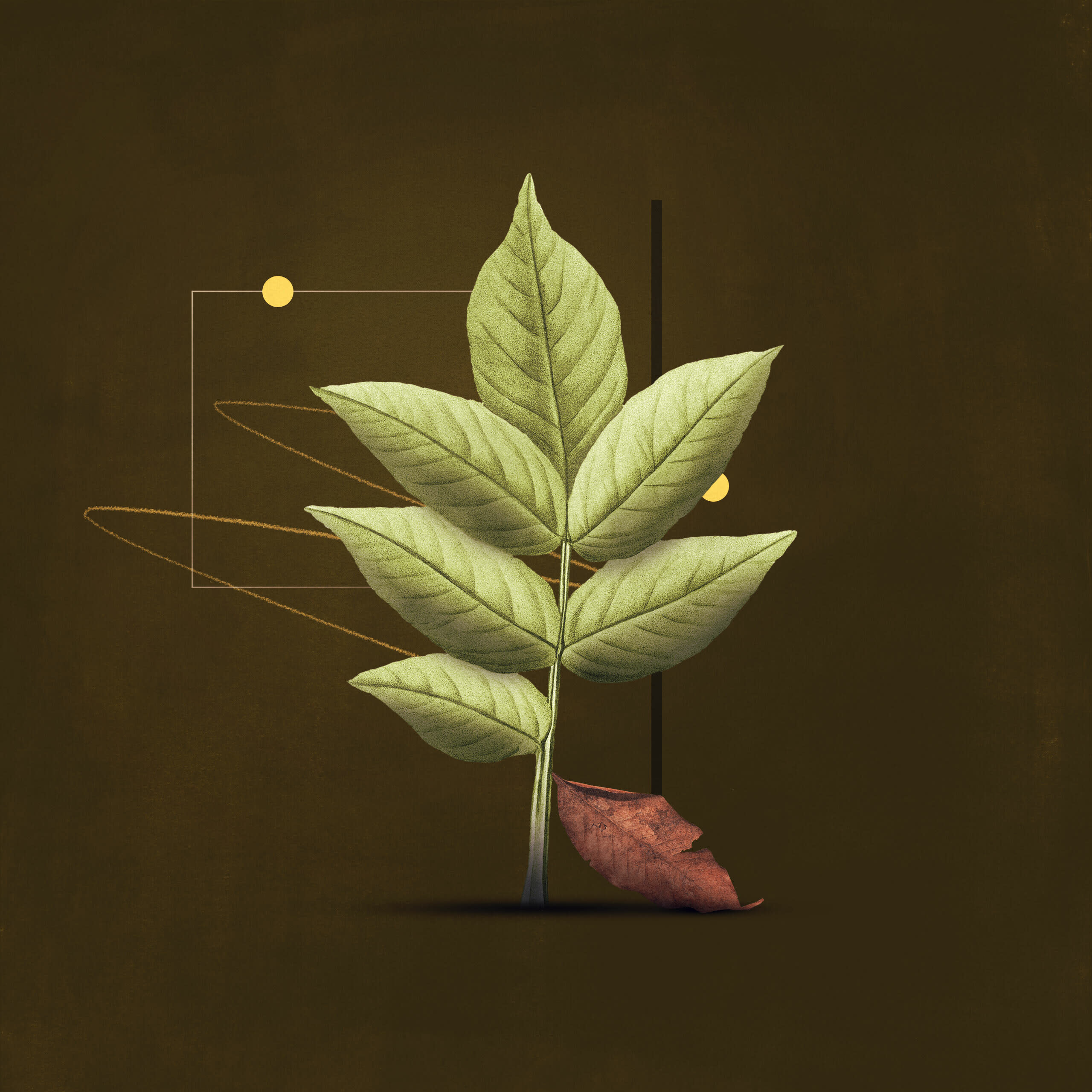 How Was Circumcision a Sign of the Covenant?