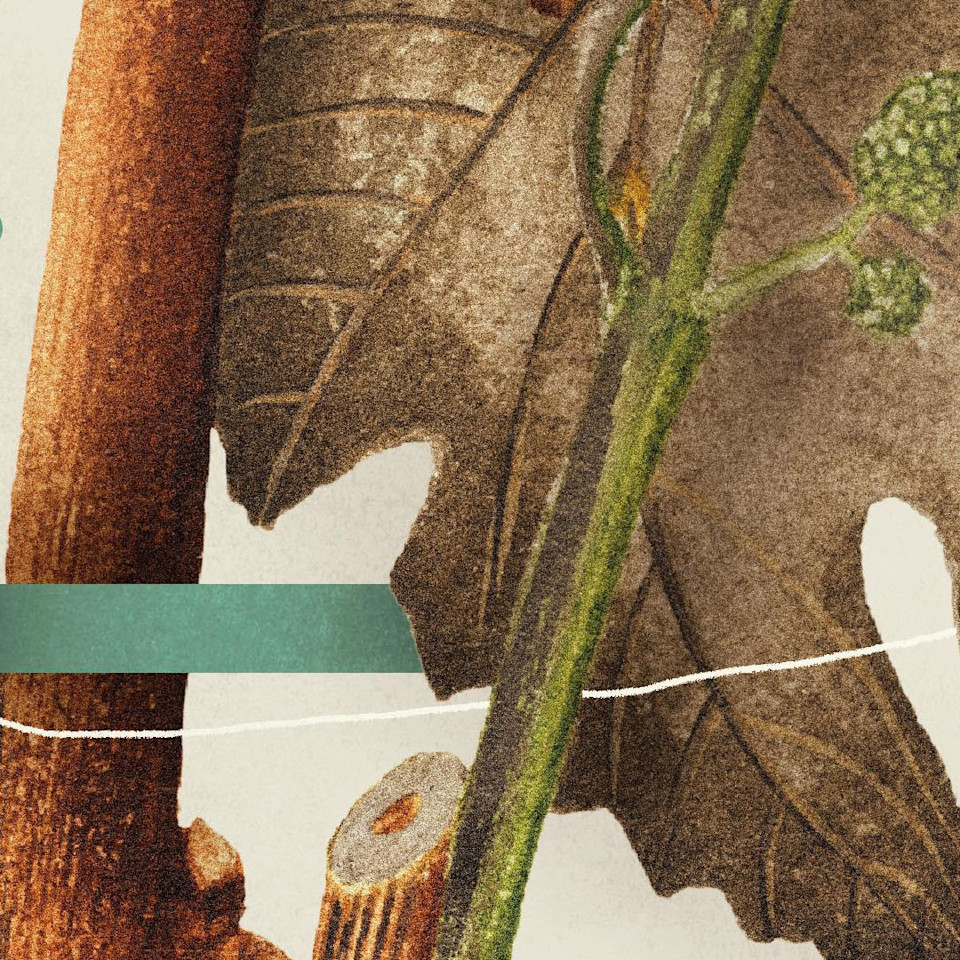 Statism by R.C. Sproul