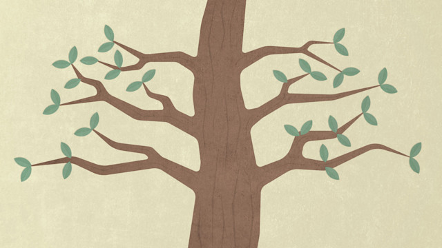 What Does It Mean to “Abide” in Christ?