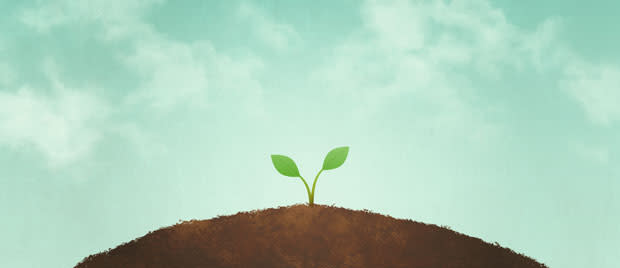 What Do We Mean When We Speak of the “Sanctity of Human Life”? by R.C ...