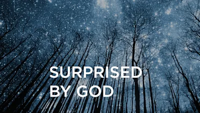 Surprised by God: 2012 Fall Conference at Reformation Bible College by ...