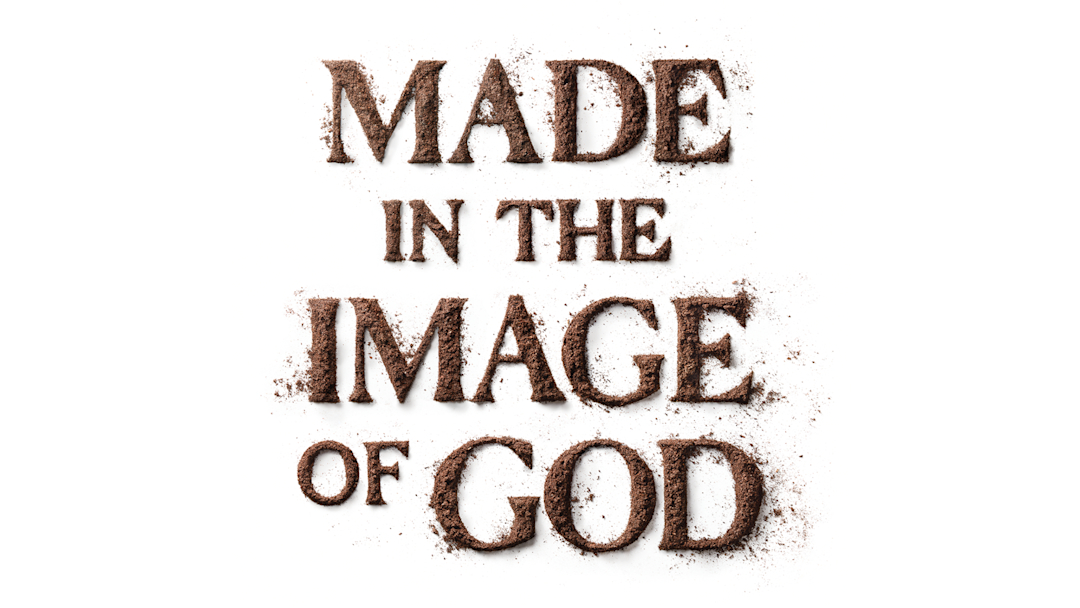 Made in the Image of God by Various Teachers | Ligonier Ministries