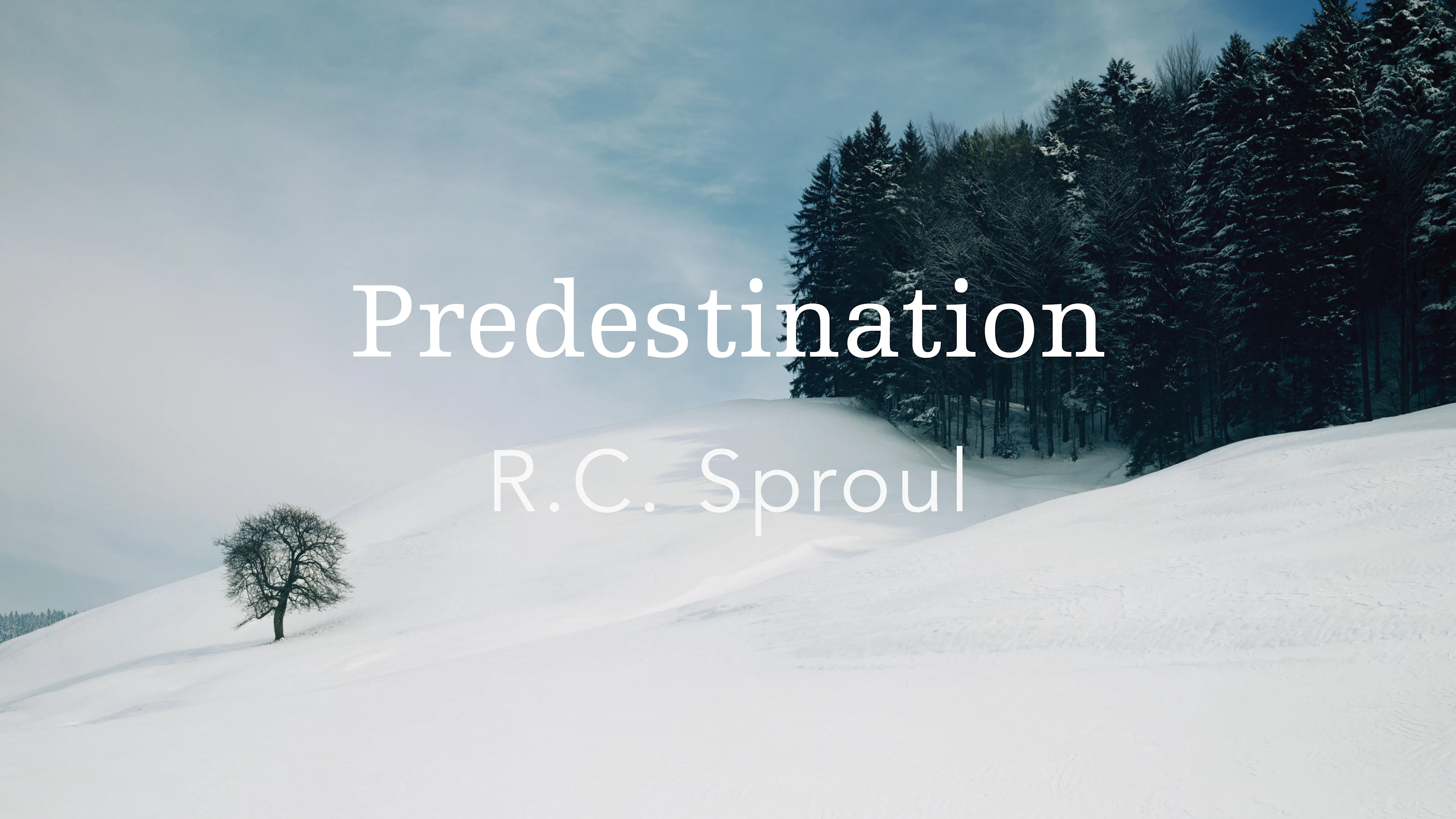 Predestination by R.C. Sproul | Ligonier Ministries