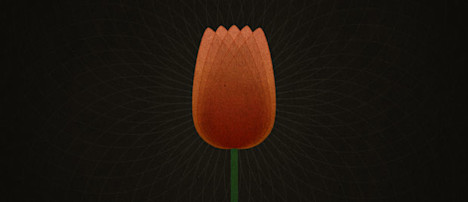 TULIP and Reformed Theology: An Introduction
