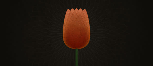 TULIP and Reformed Theology: An Introduction