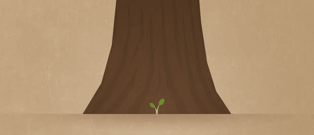 What is the Role of Experience in the Christian Life?