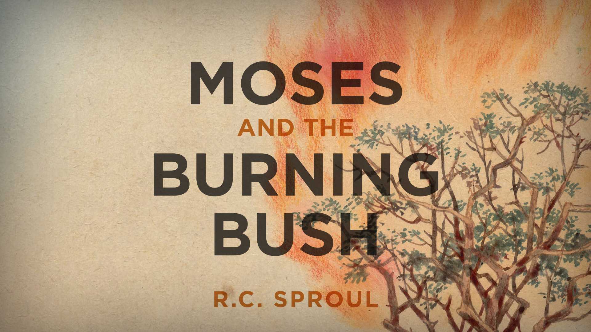 The Invisible Hand of God by R.C. Sproul from Moses and the Burning Bush