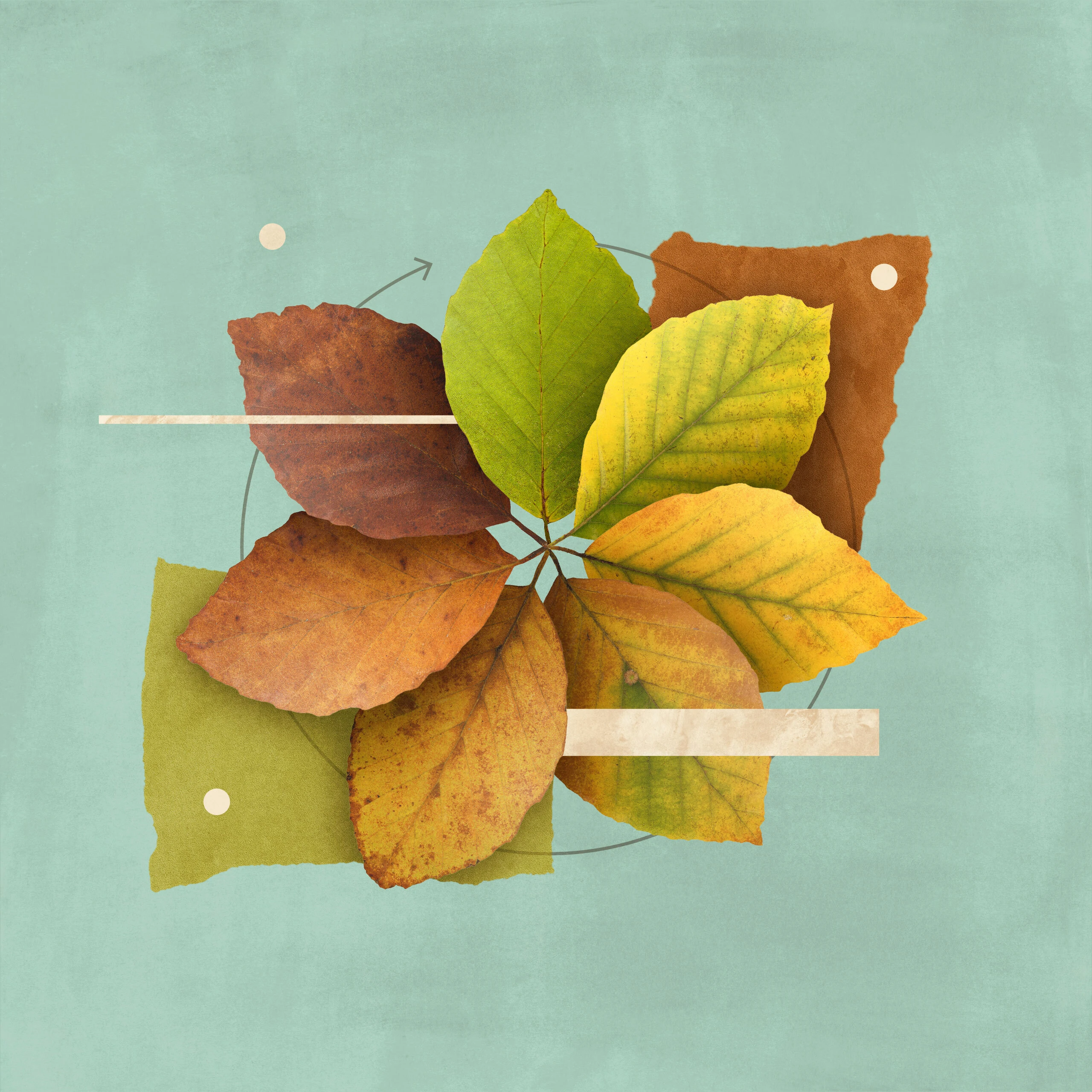 How God Uses Routine to Shape Us