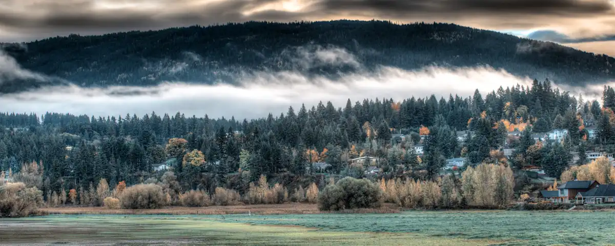 Claim status | BC Unclaimed