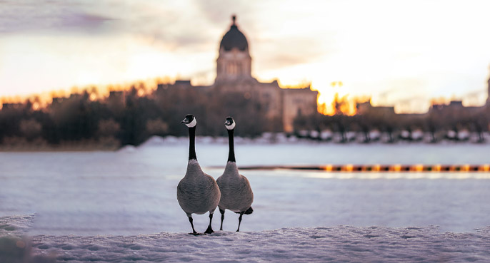 Everything International Students Need to Know About Studying in ...