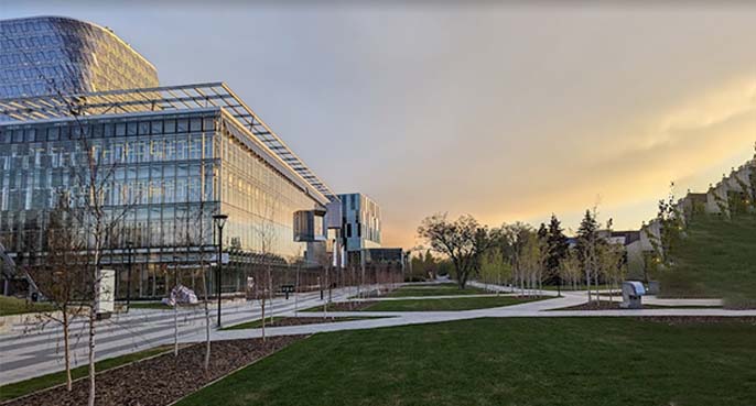 Everything International Students Need to Know About Studying The Best ...