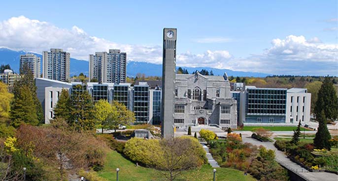 Everything International Students Need to Know About Studying The Best ...