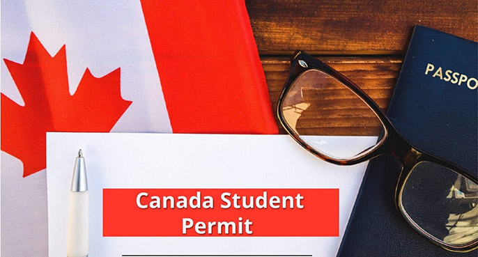 Everything International Students Need to Know About Studying in ...