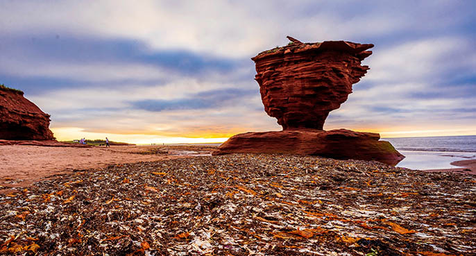 Want to Study in Prince Edward Island? Here's Everything International ...