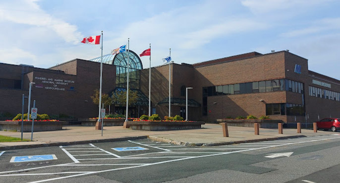 Why Should International Students Choose to Study in Newfoundland and ...