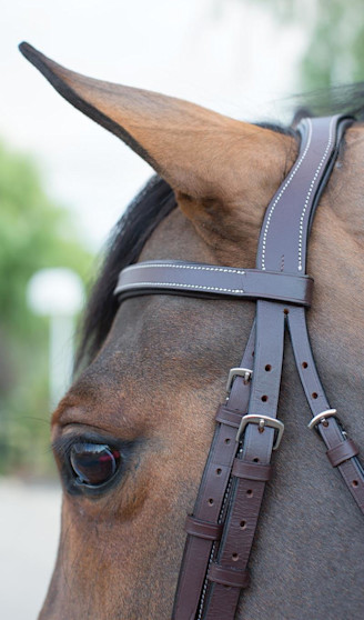SmartPak Equine: Horse Supplements, Tack and Supplies